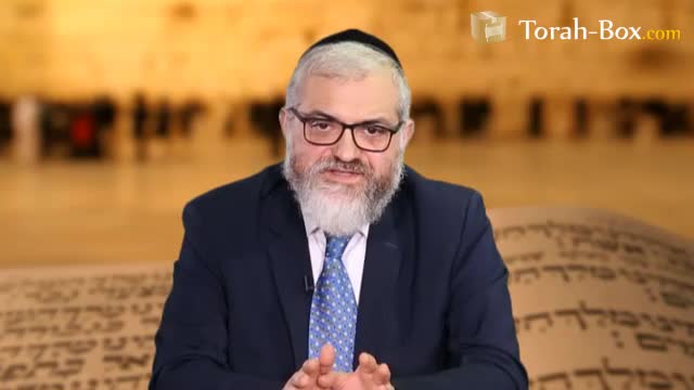 Les 318 soldats d'Avraham - Rav Ilan TOLEDANO